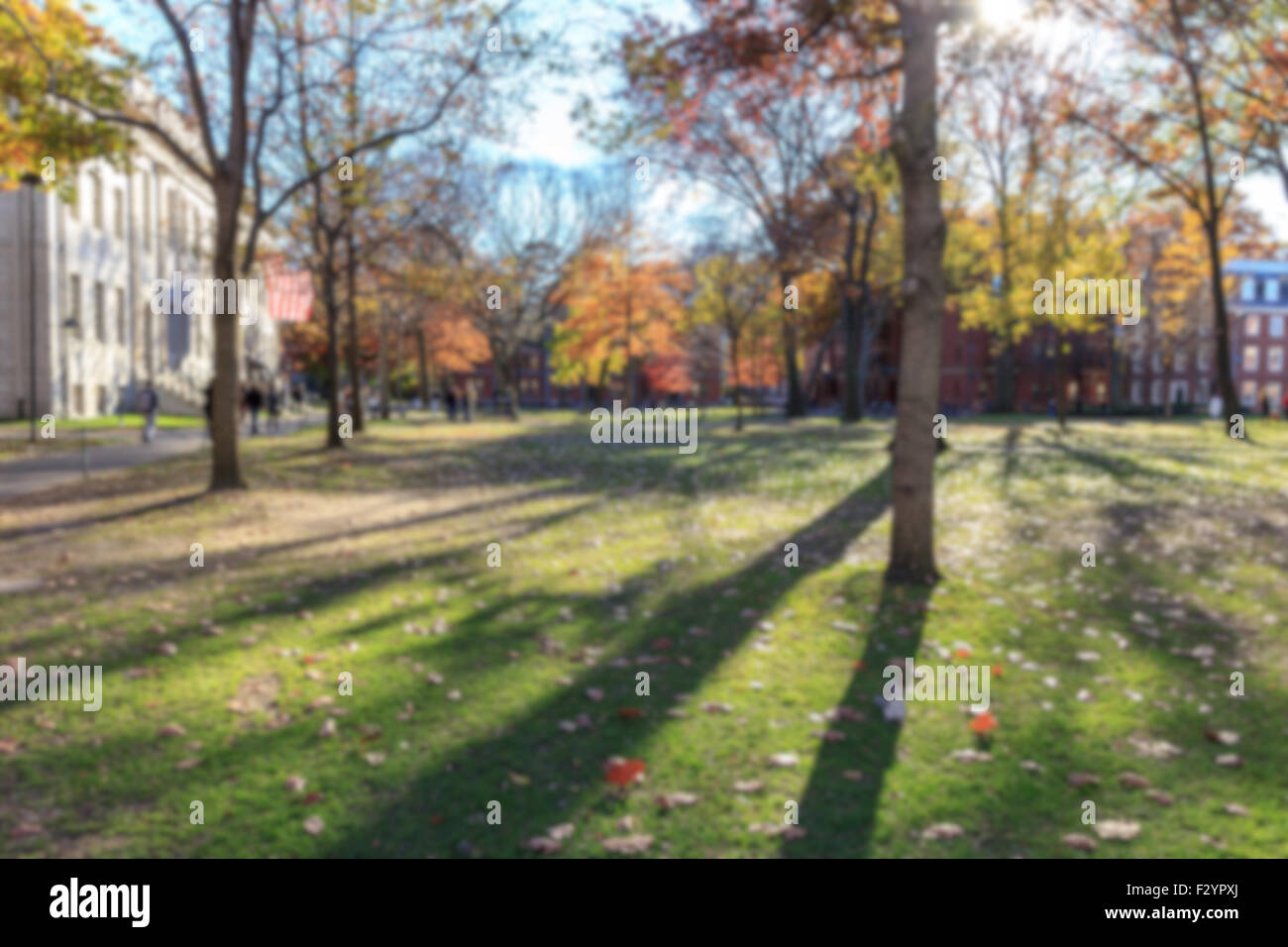 Yard Background High Resolution Stock Photography and Images - Alamy