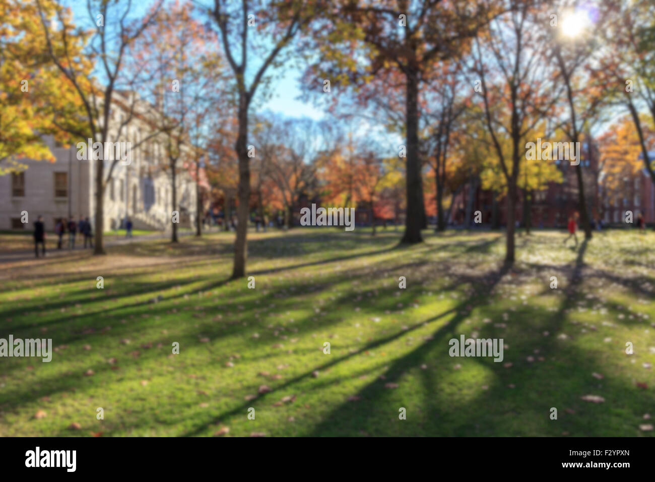 Blurred background of Harvard Yard on a beautiful Fall day in Cambridge ...