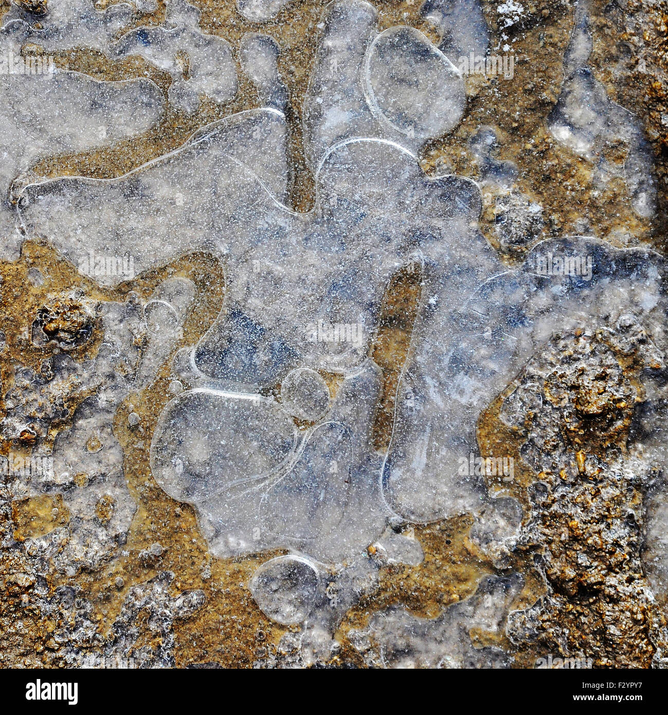 abstract ice forms Stock Photo - Alamy