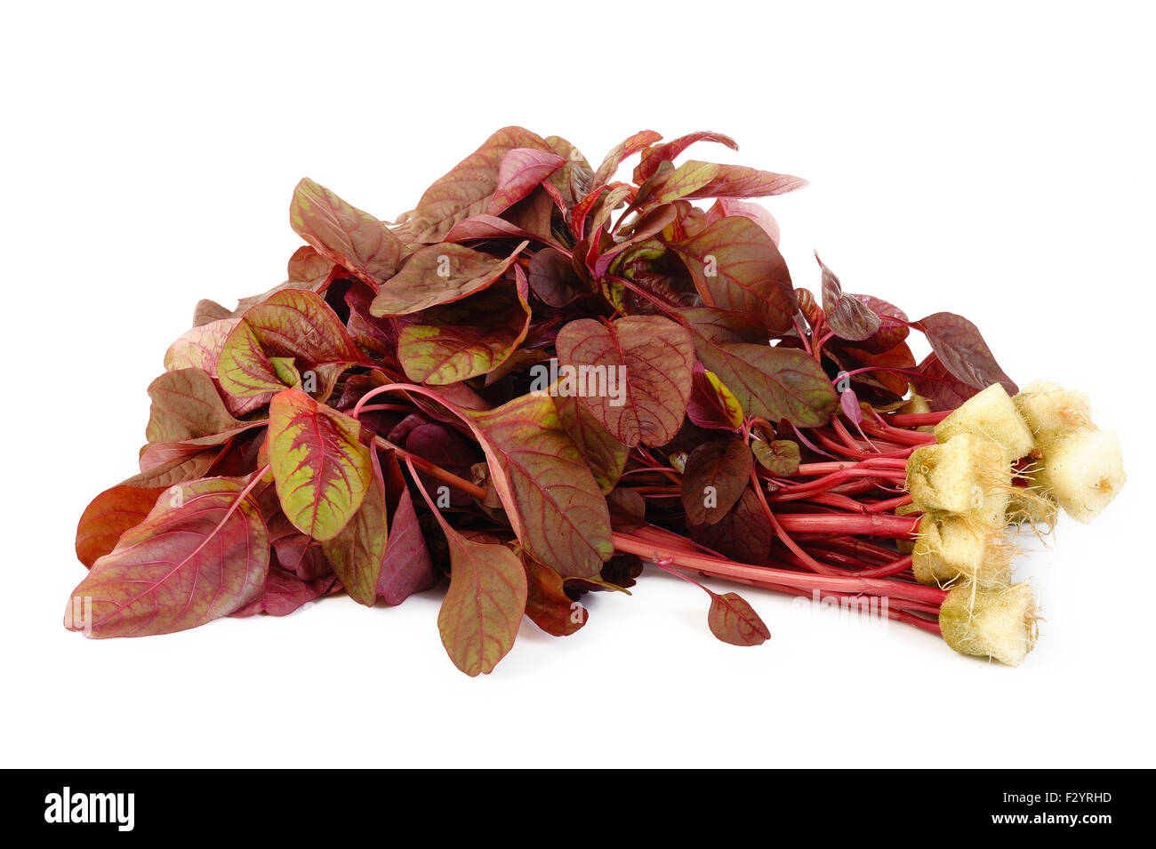 red spinach on white background Stock Photo - Alamy