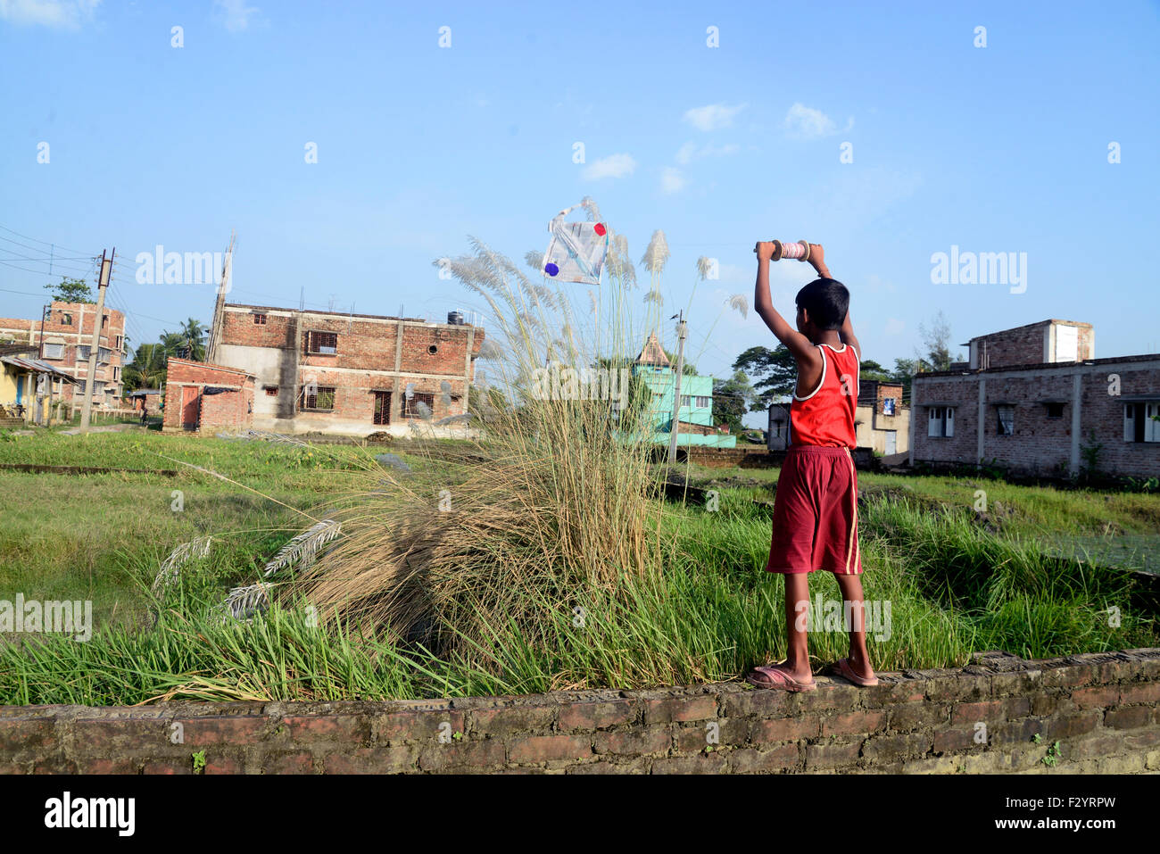 Kansh phool hi-res stock photography and images - Alamy