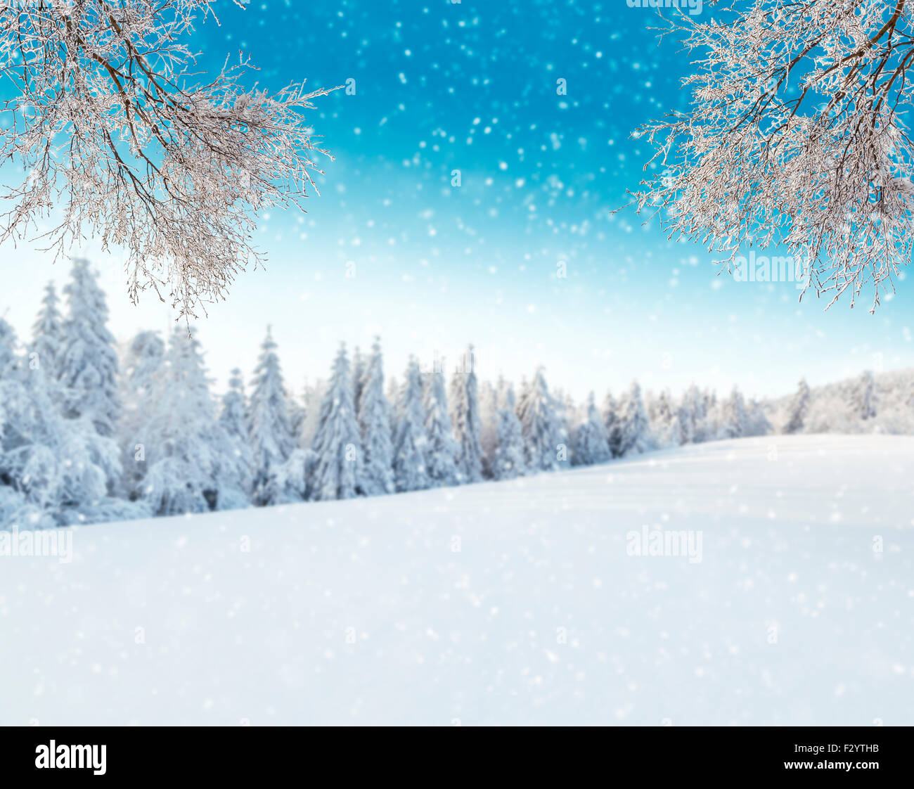 Winter landscape with tree branches Stock Photo - Alamy