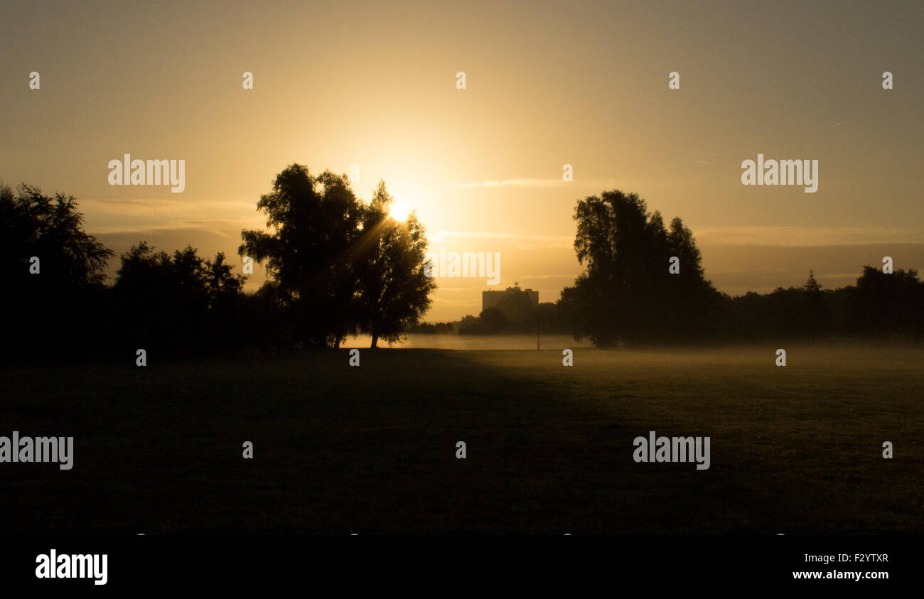 Early morning Sunrise over a field with trees. The sun is casting a ...