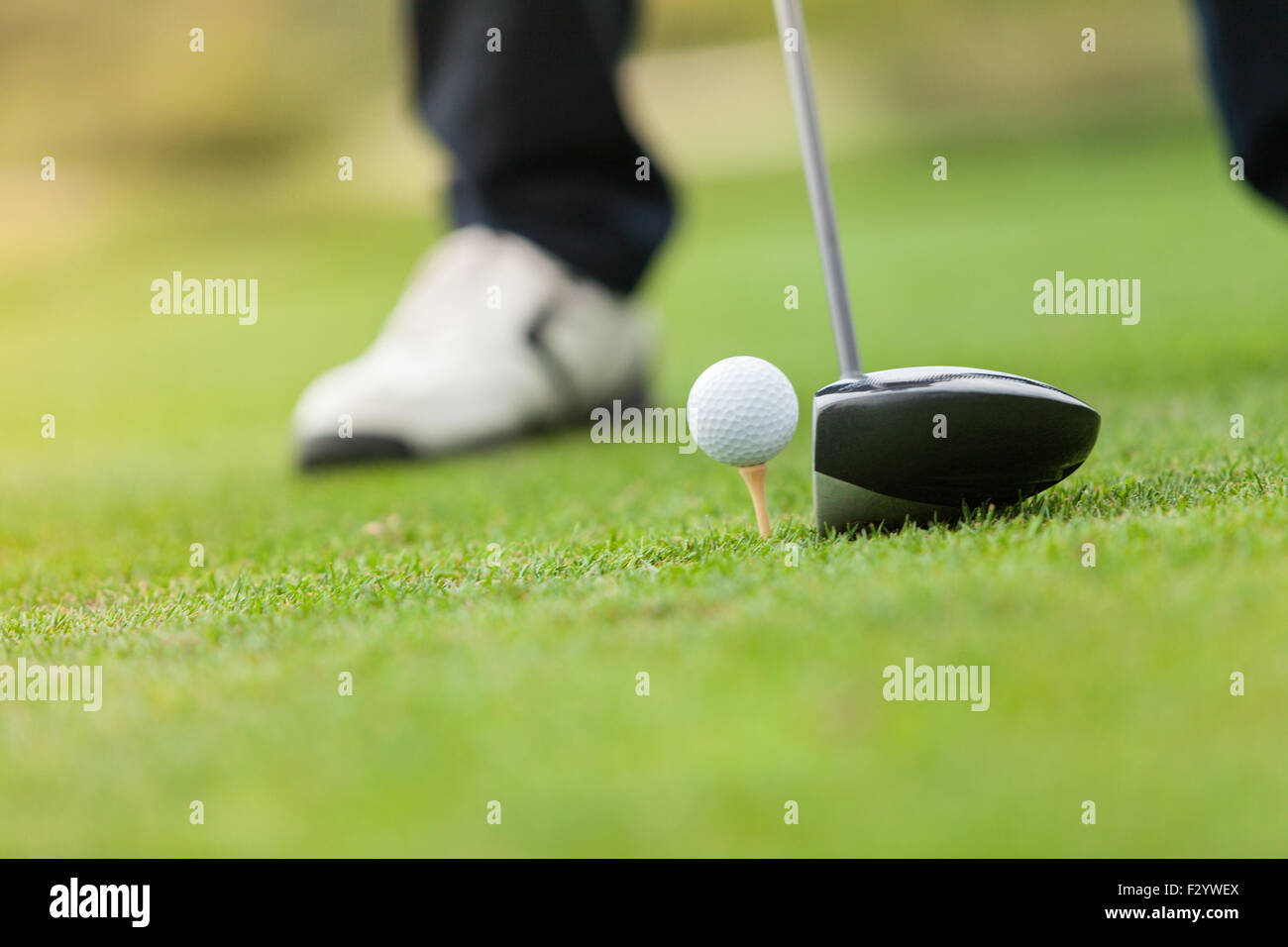 Golf ball in grass hi-res stock photography and images - Alamy