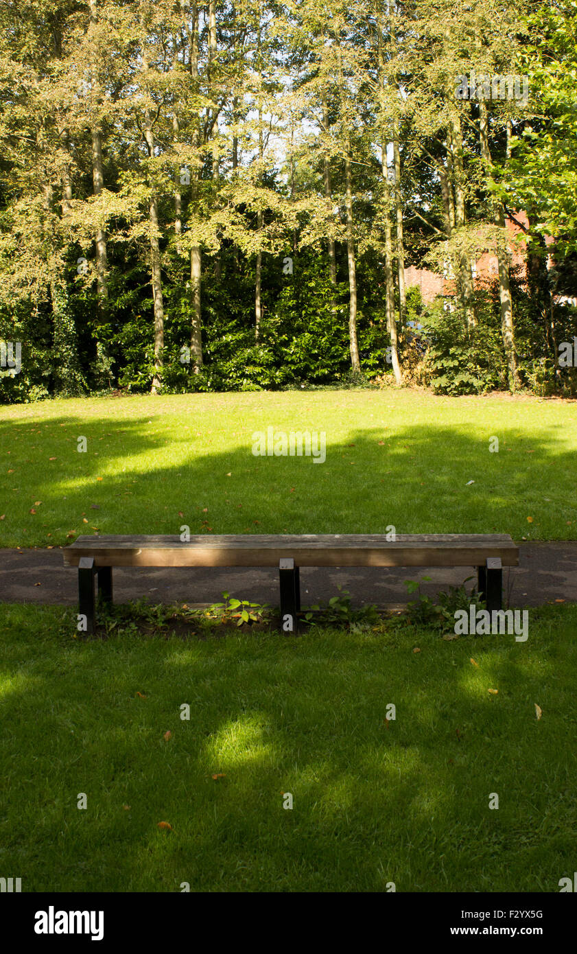 Sidewalk grass trees next road hi-res stock photography and images - Alamy