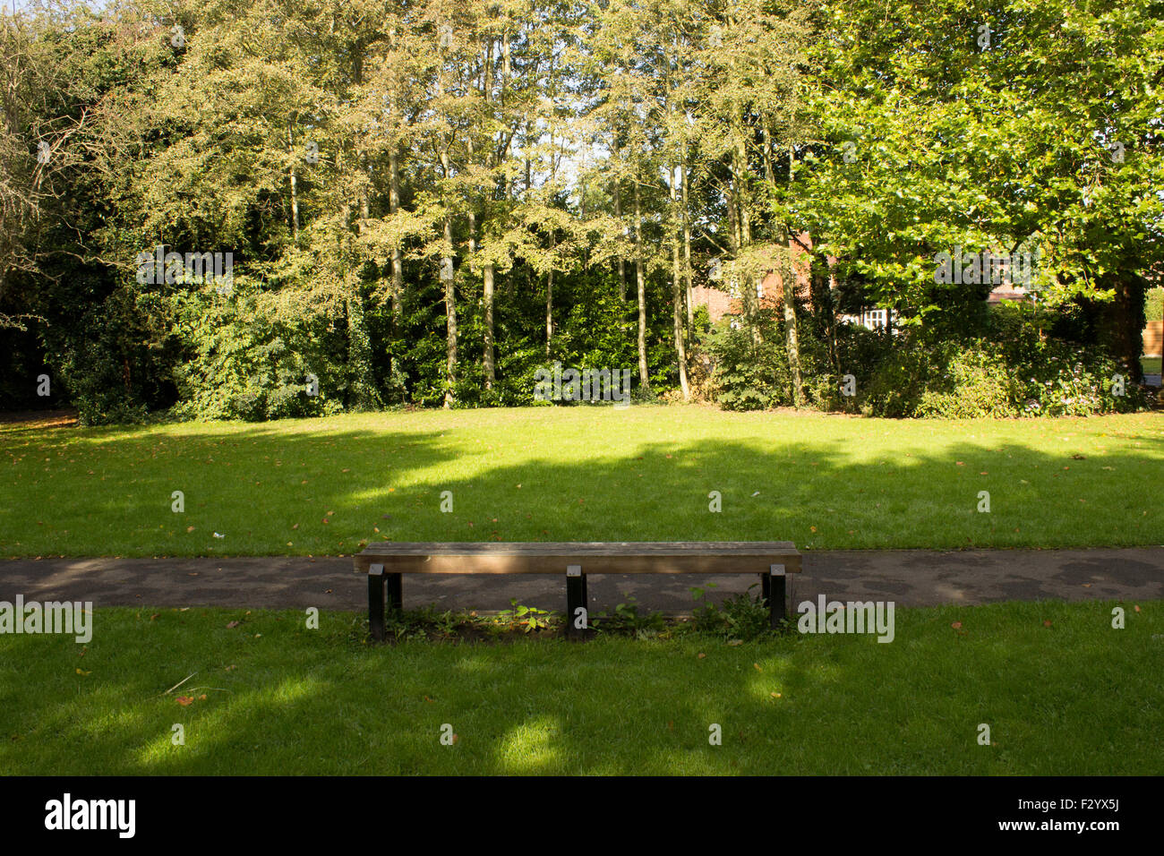 Sidewalk grass trees next road hi-res stock photography and images - Alamy
