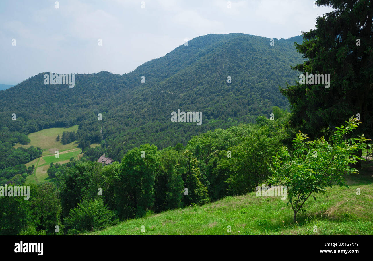 Nature landscape in Piedmont region, Turin, Italy Stock Photo - Alamy