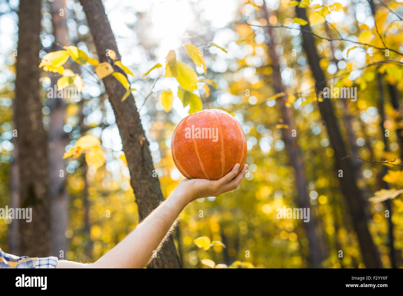 Smiling man carrying pumpkin outdoors Stock Photo - Alamy