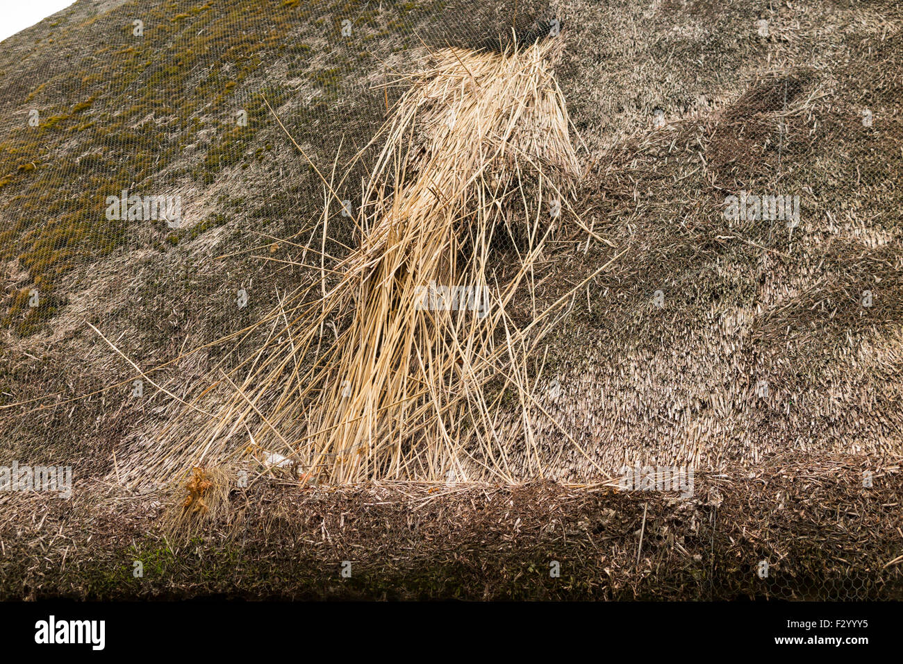 Decay thatching decayed thatch damaged hi-res stock photography and ...