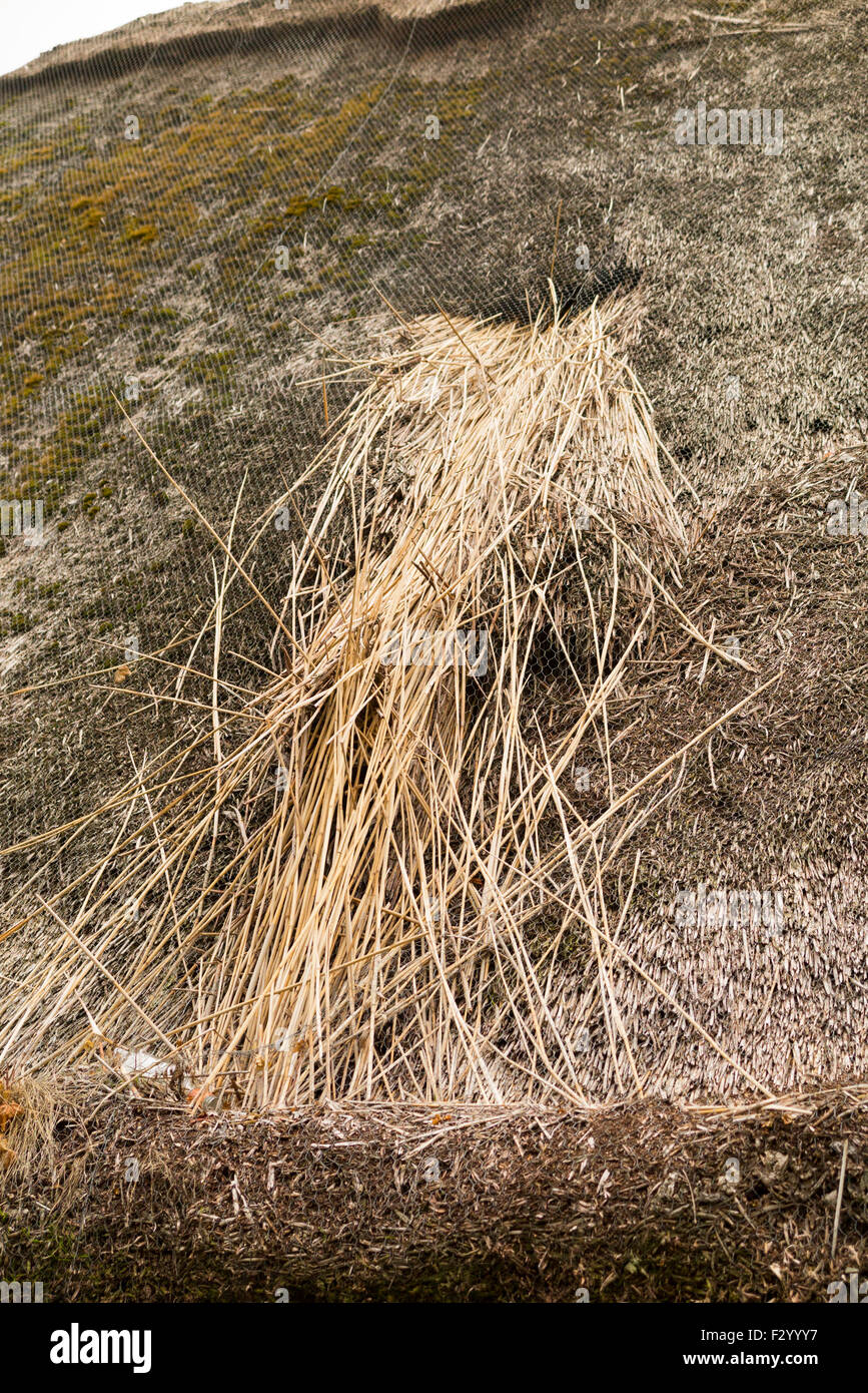 Decay thatching decayed thatch damaged hi-res stock photography and ...