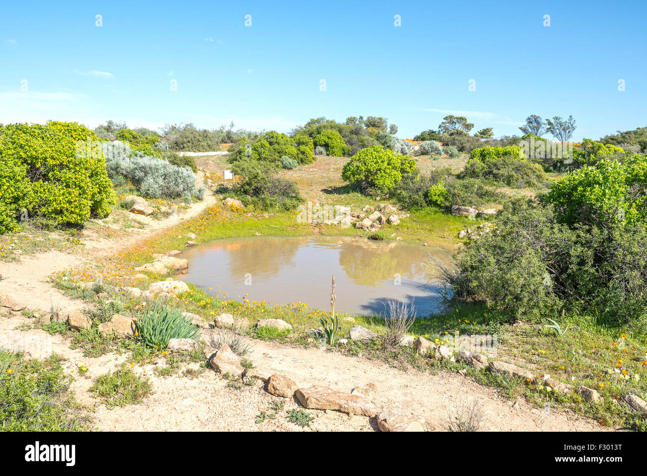 Skilpad reserve hi-res stock photography and images - Alamy