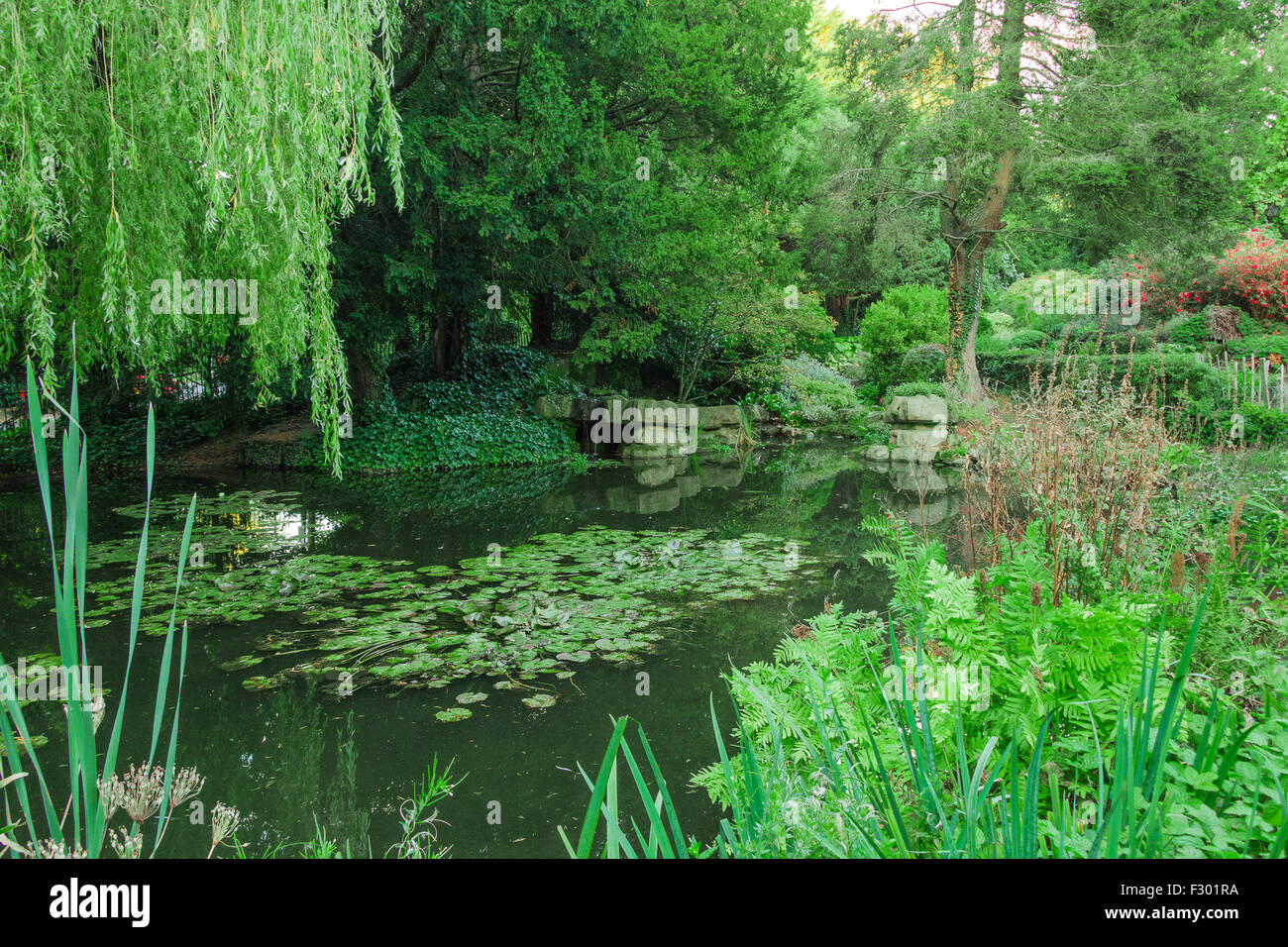 A beautiful water pond in the garden Stock Photo - Alamy
