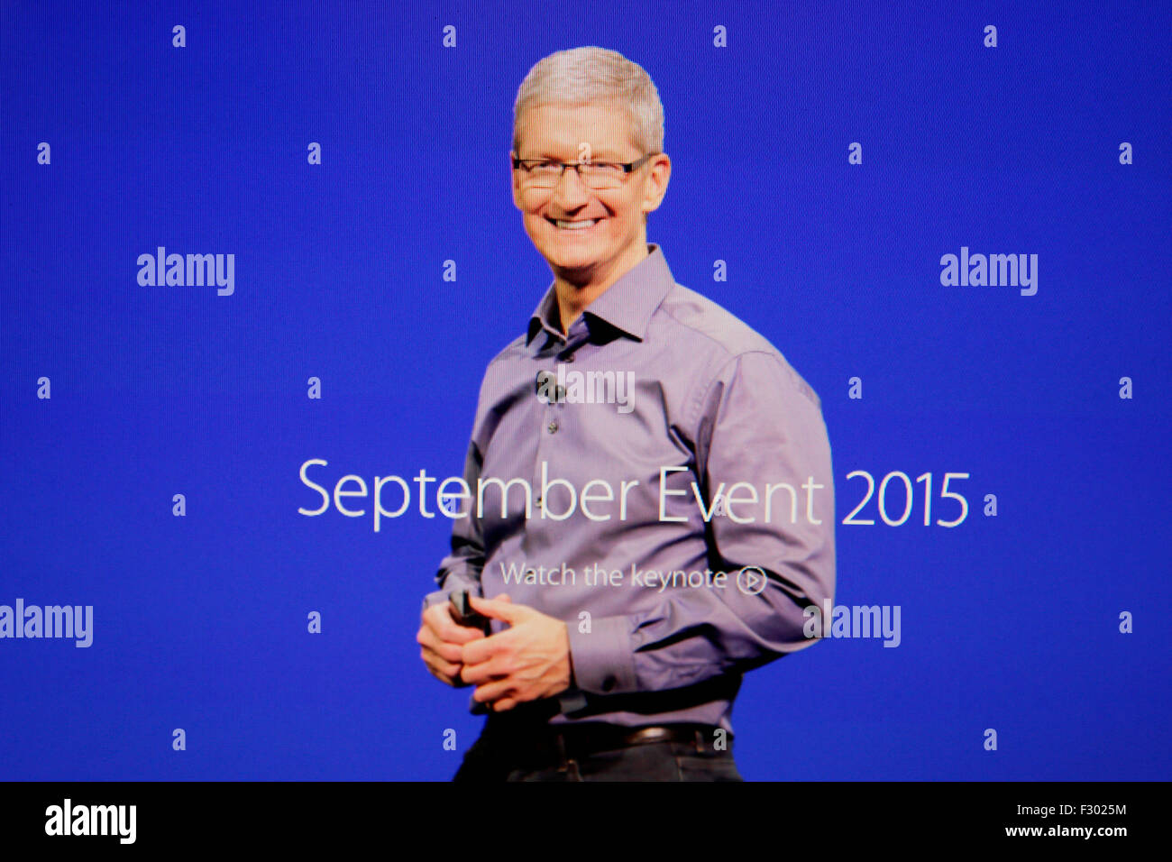 Tim cook hi-res stock photography and images - Alamy