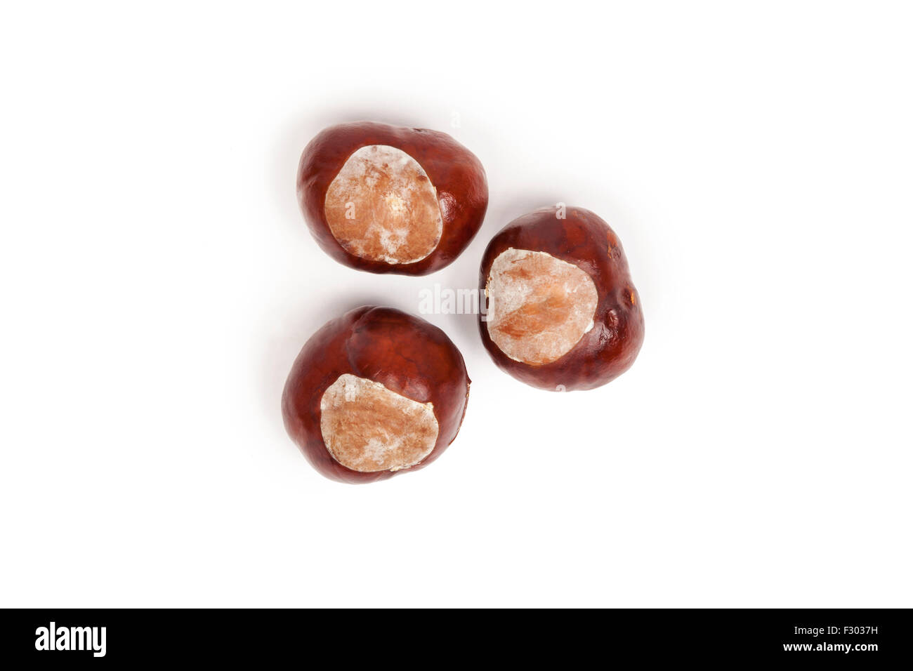 Three chestnuts on white background Stock Photo - Alamy