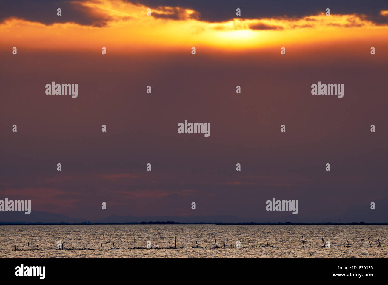 Beautiful sunrise in Camargue along the seashore in spring Stock Photo ...