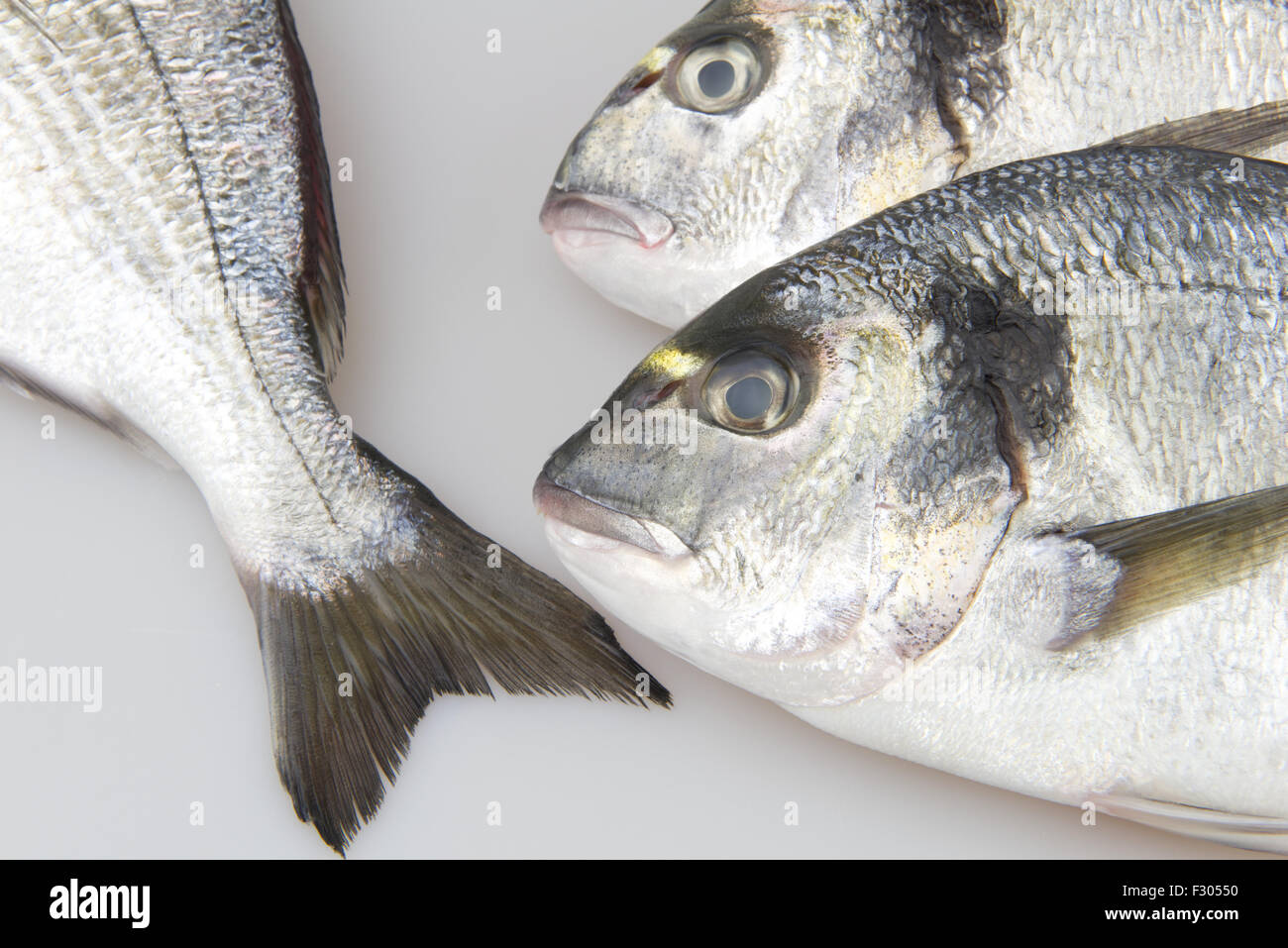 Raw fish heads hi-res stock photography and images - Alamy