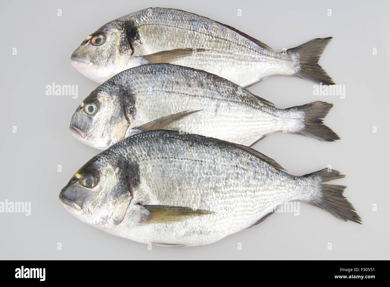 Seabream hi-res stock photography and images - Alamy