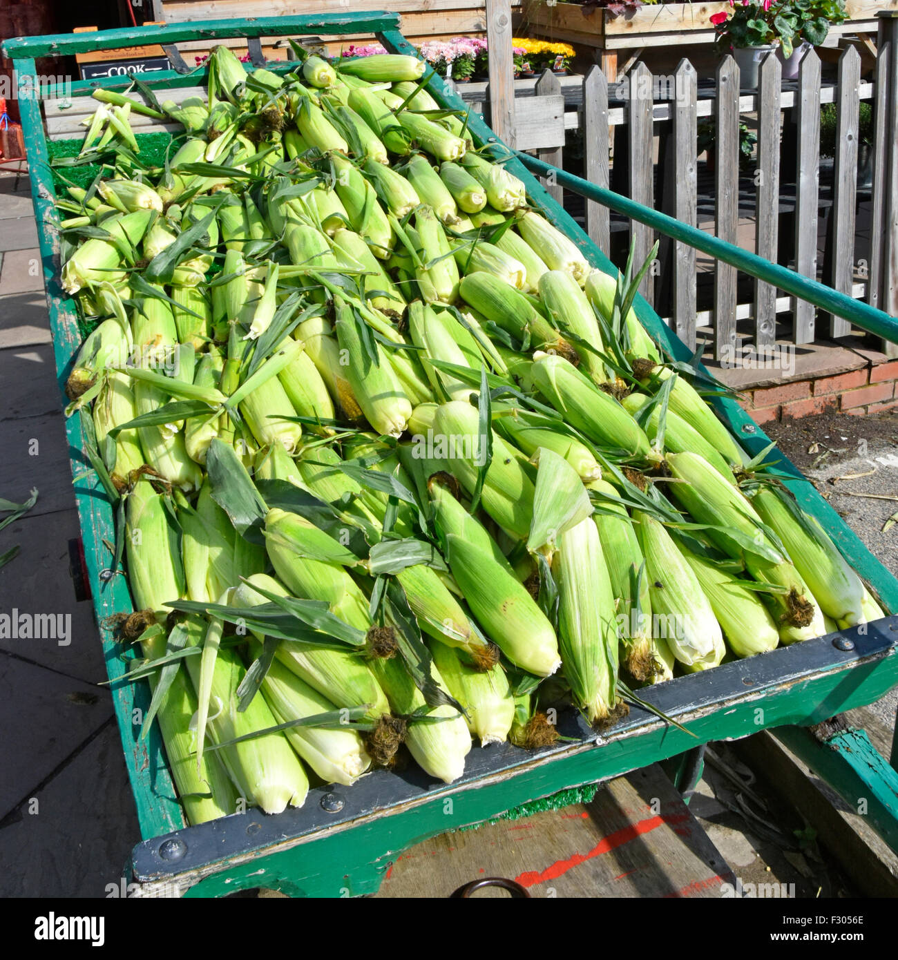 Great Barrow High Resolution Stock Photography and Images - Alamy
