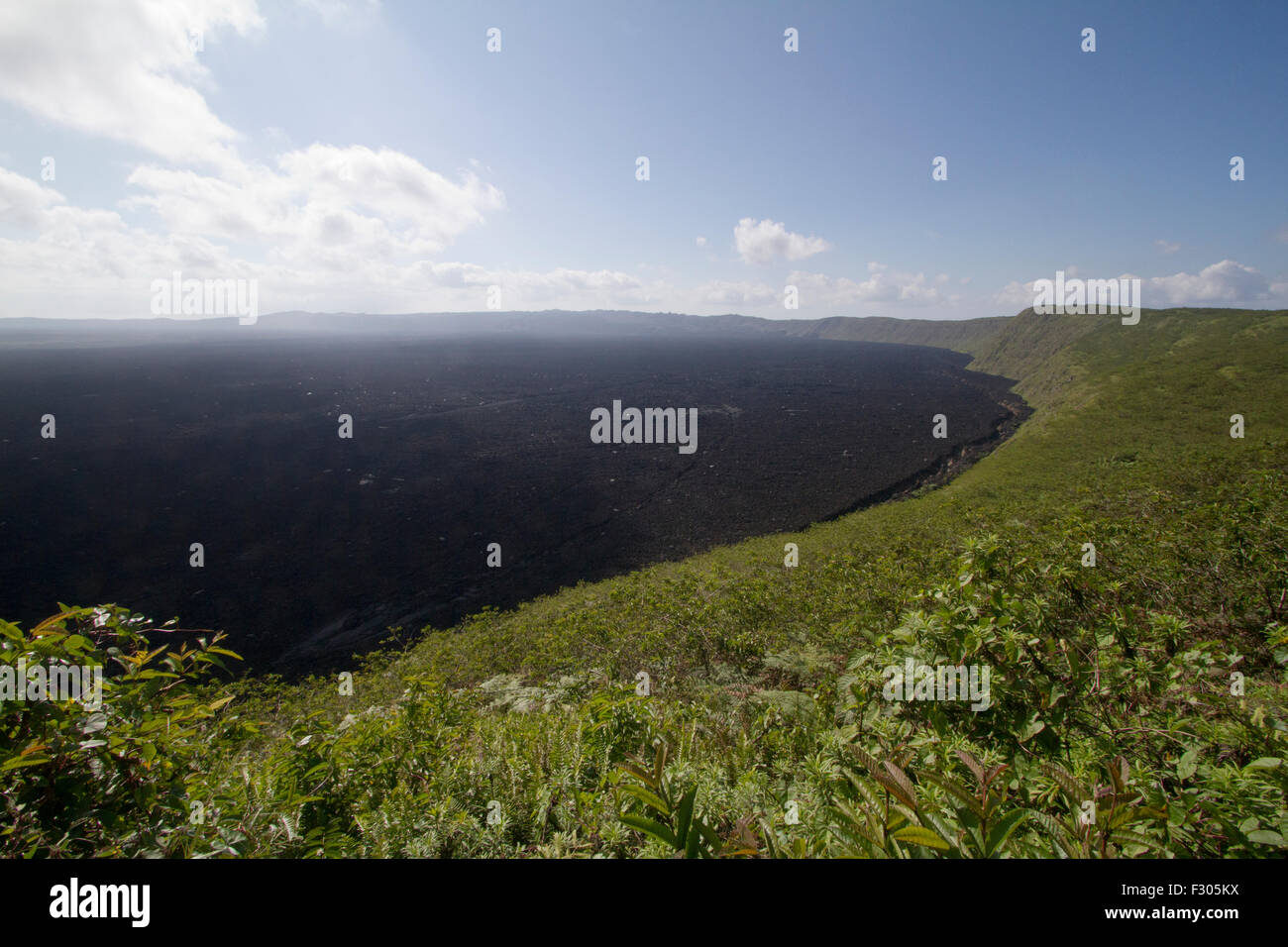 Sierra Negra Volcano, Isabela Island, Galapagos Islands Stock Photo - Alamy