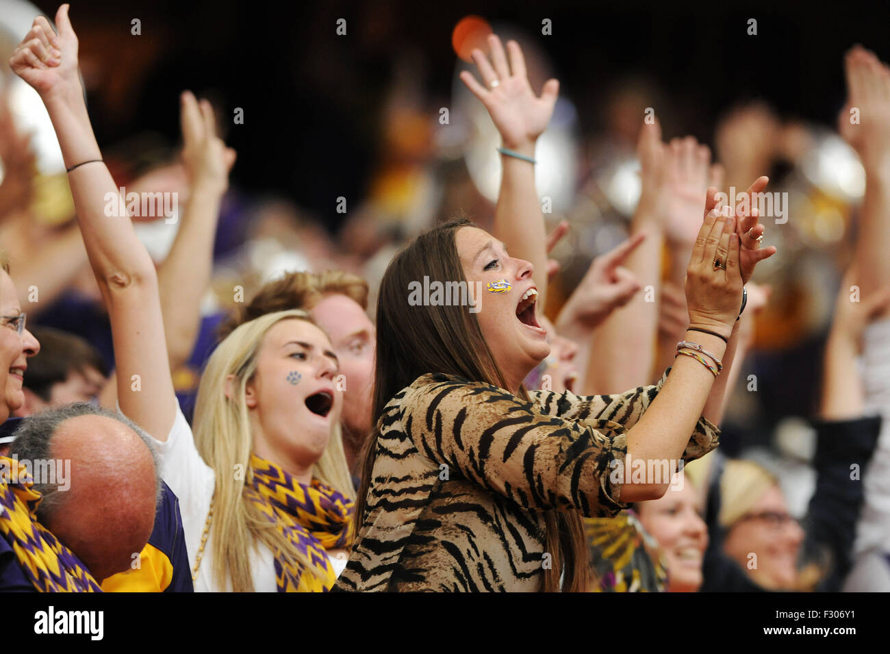 Lsu fans hi-res stock photography and images - Alamy