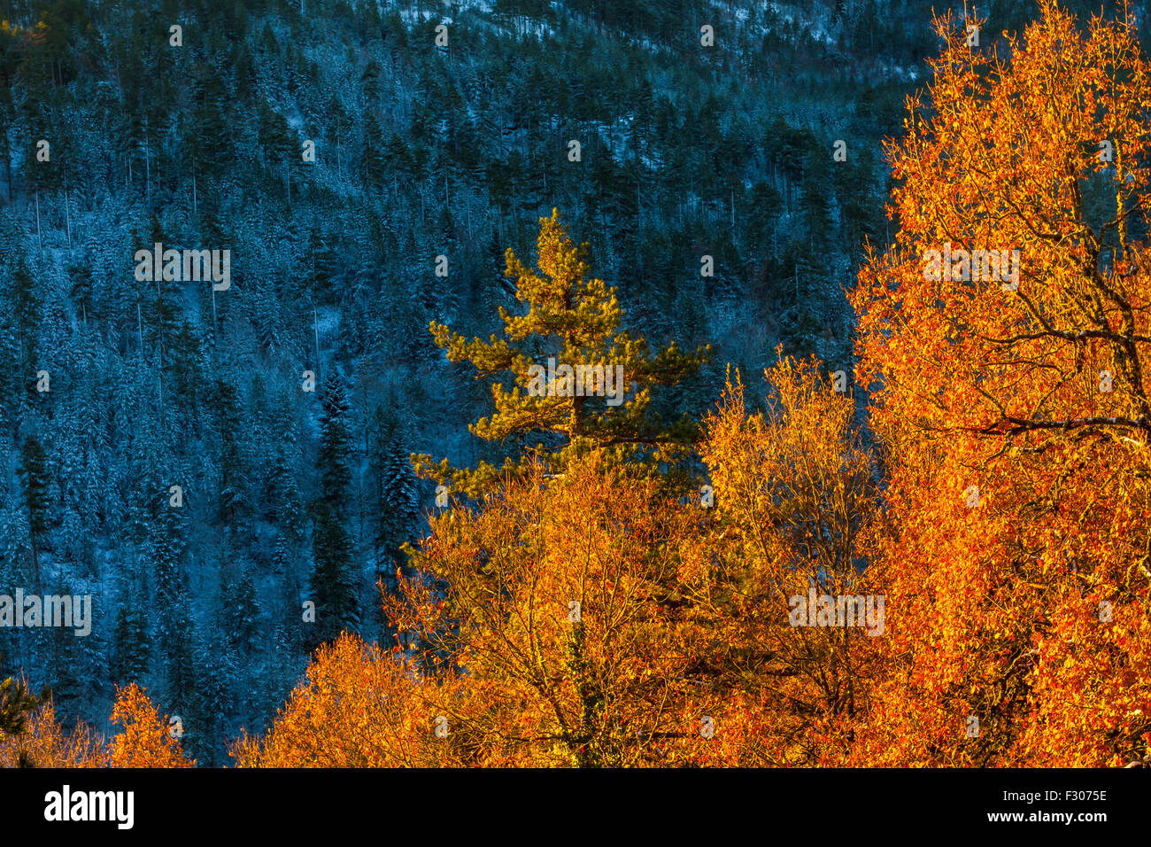 Warm cold contrast hi-res stock photography and images - Alamy