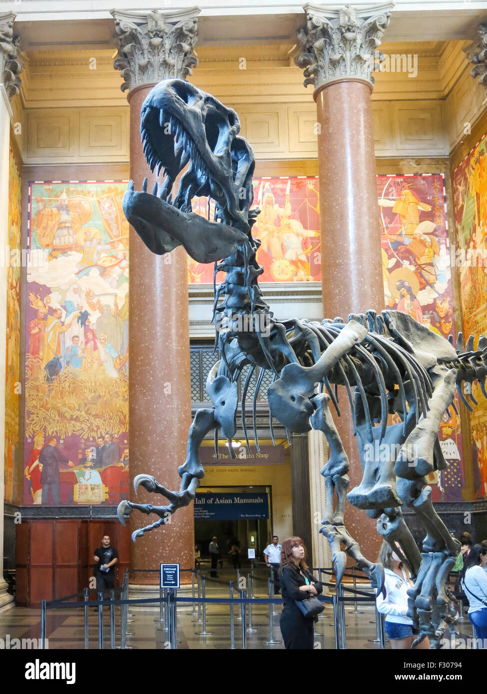 American Museum of Natural History, NYC Stock Photo - Alamy