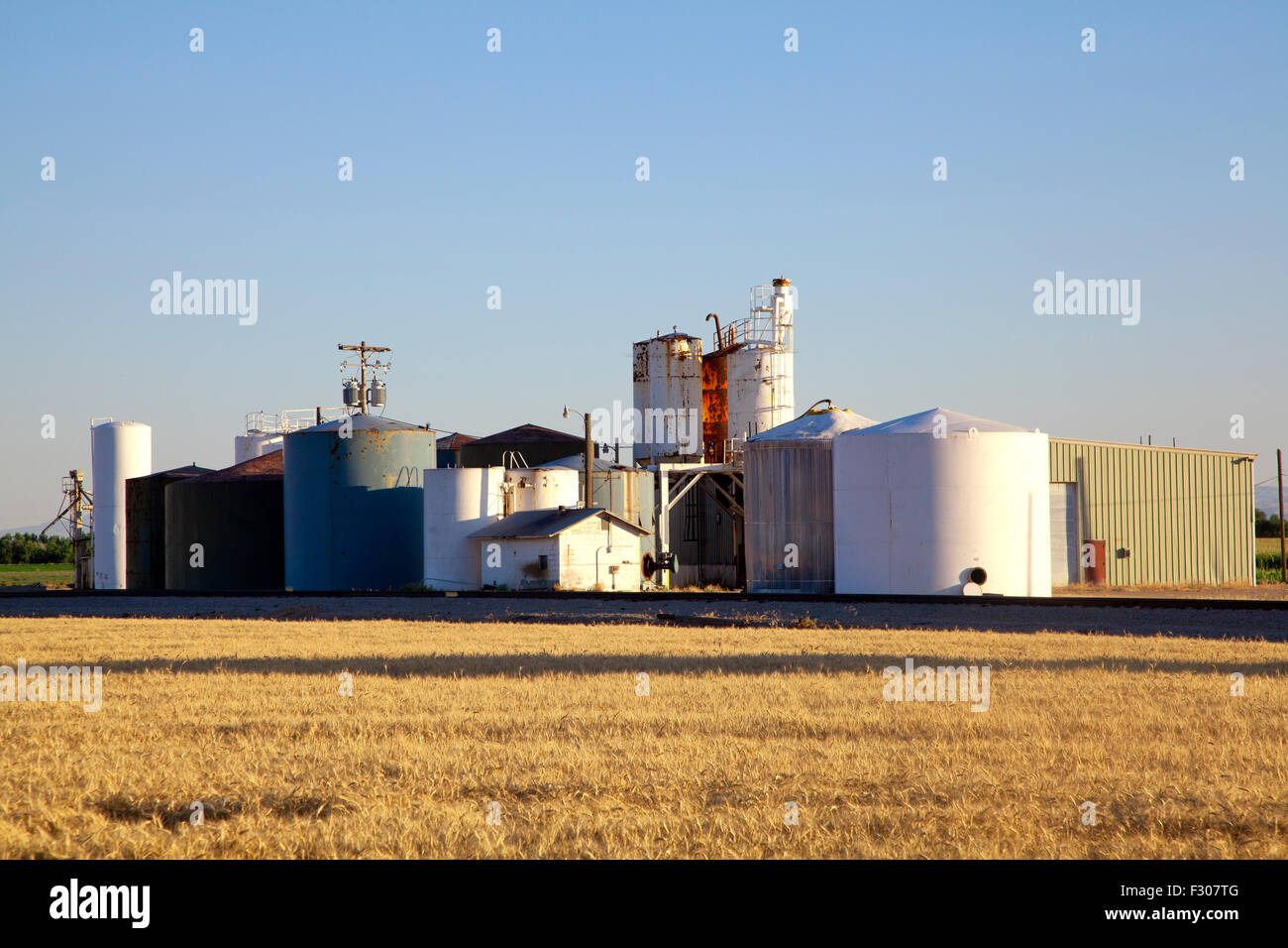 Agricultural processing plant in wheat field,summer sunset, US, 2015 ...