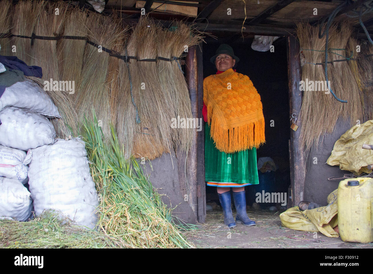 Local indigenous home in the Andean mountains near Laguna Quilotoa ...
