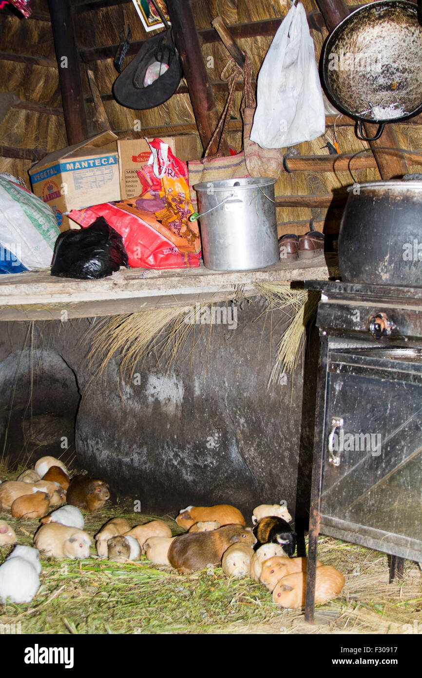 Local indigenous home in the Andean mountains near Laguna Quilotoa ...