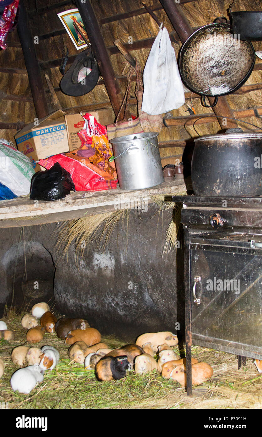 Local indigenous home in the Andean mountains near Laguna Quilotoa ...