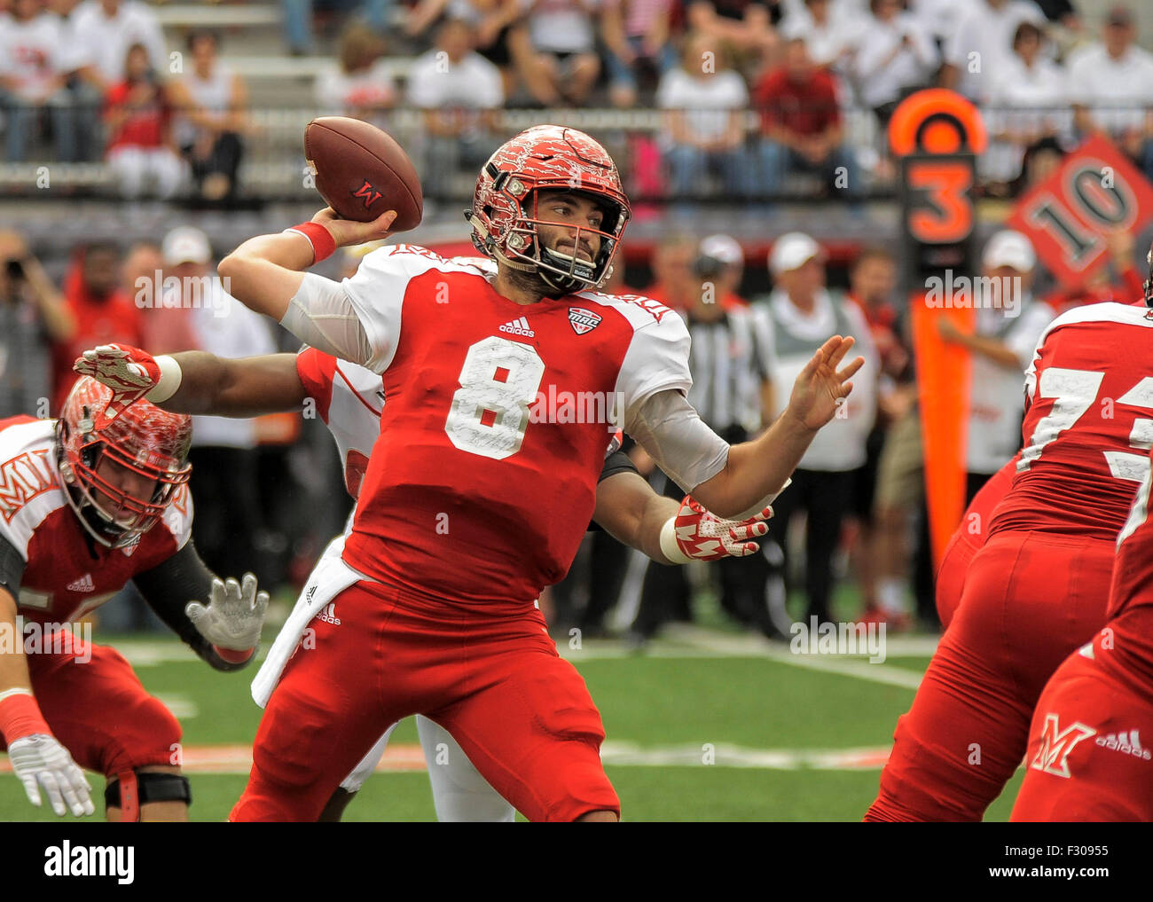 Redhawk hi-res stock photography and images - Alamy