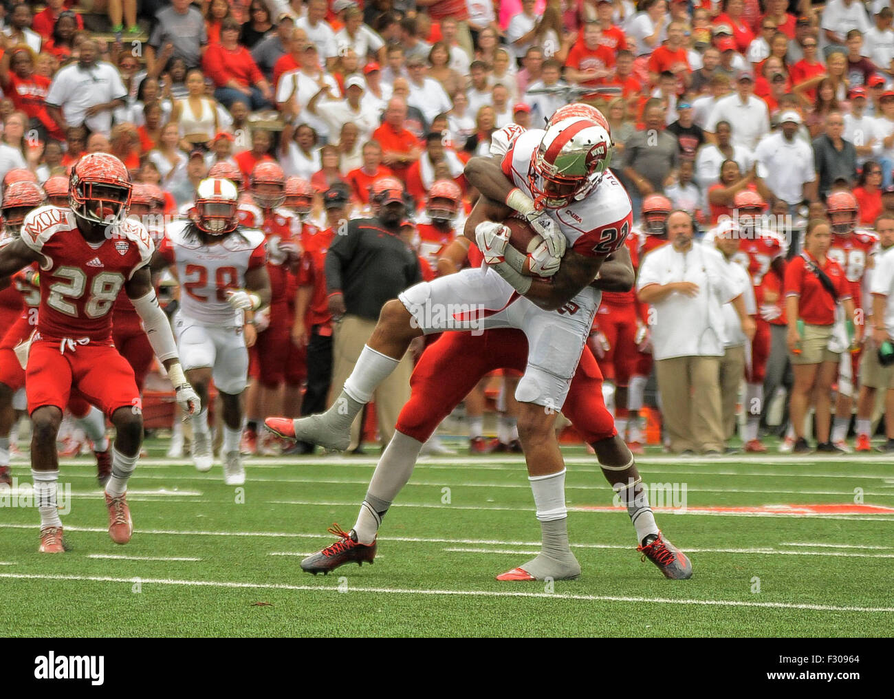 Redhawk hi-res stock photography and images - Alamy