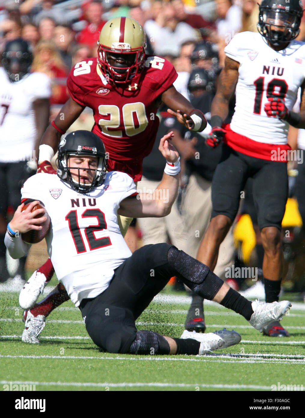 Drew hare hi-res stock photography and images - Alamy