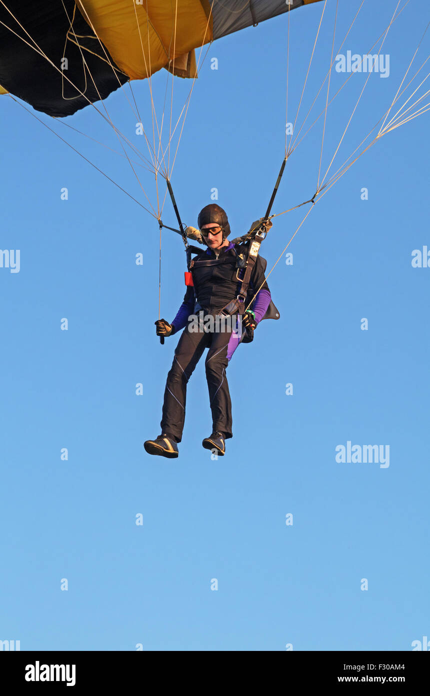 Parachutists - 2014. The skydiver landing under parachute Stock Photo ...