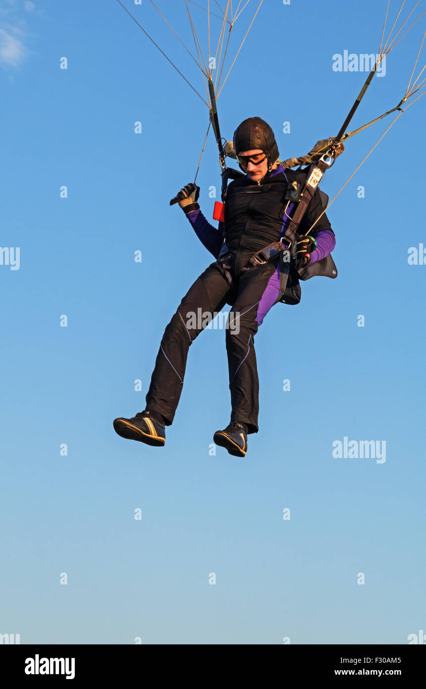 Parachutists - 2014. The skydiver landing under parachute Stock Photo ...