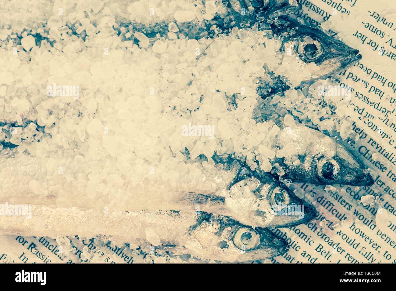 Fresh fish on newspaper hi-res stock photography and images - Alamy