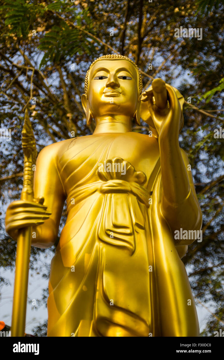 Buddha on tree hi-res stock photography and images - Alamy