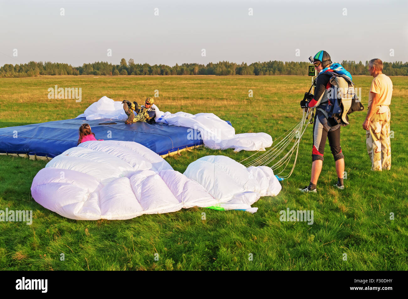 Parachutists - 2014. The skydiver landing under parachute Stock Photo ...