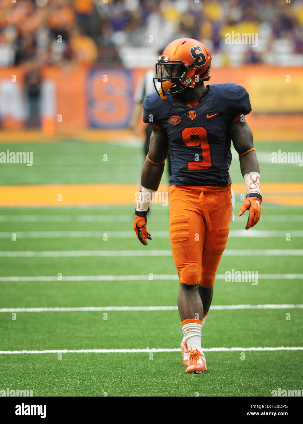 Brisly hi-res stock photography and images - Alamy