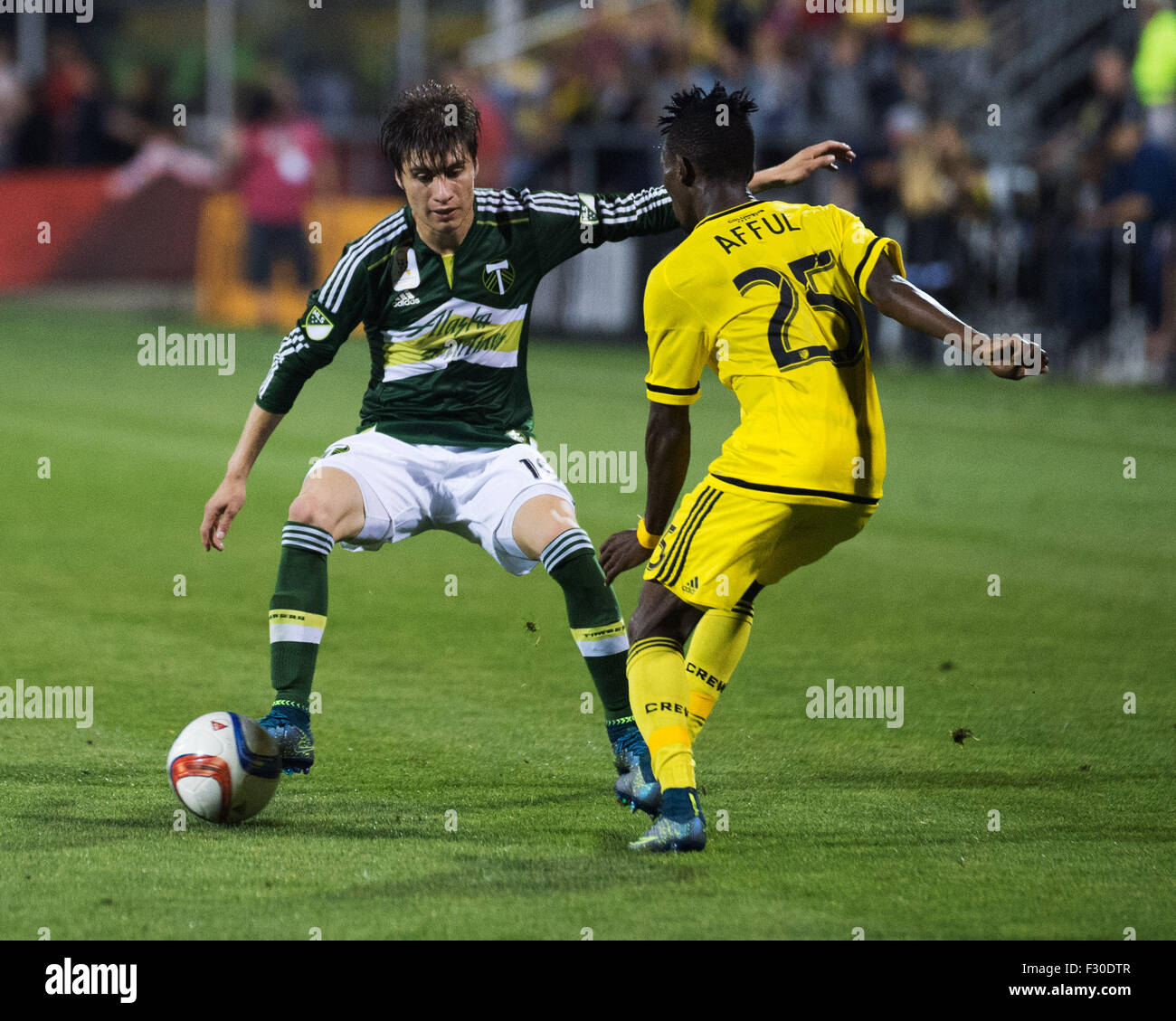 Harrison Marks Natural