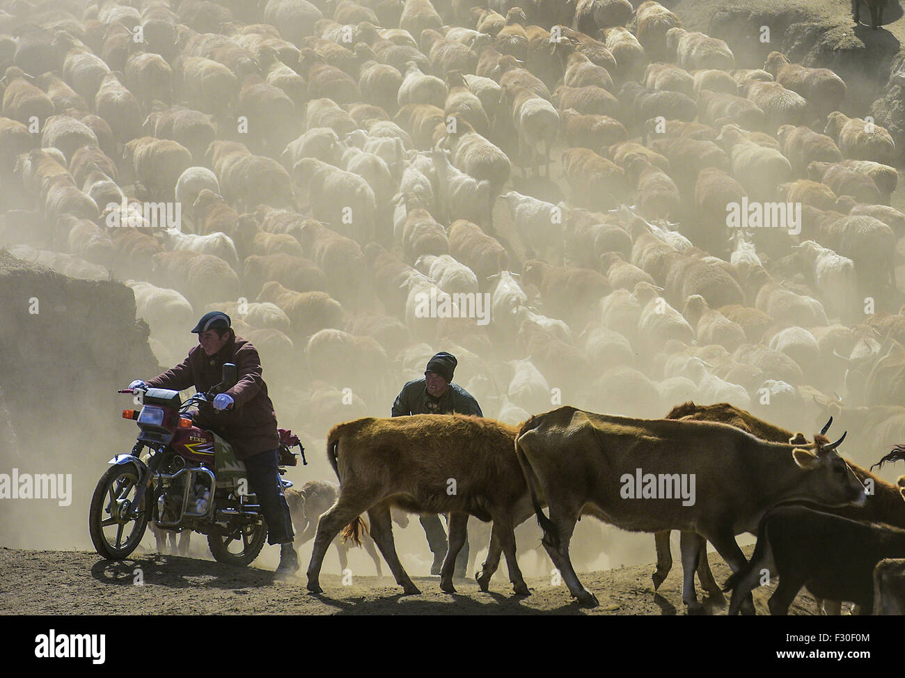 Beijing, China. 17th Sep, 2015. Photo taken on Sept. 17, 2015 shows ...