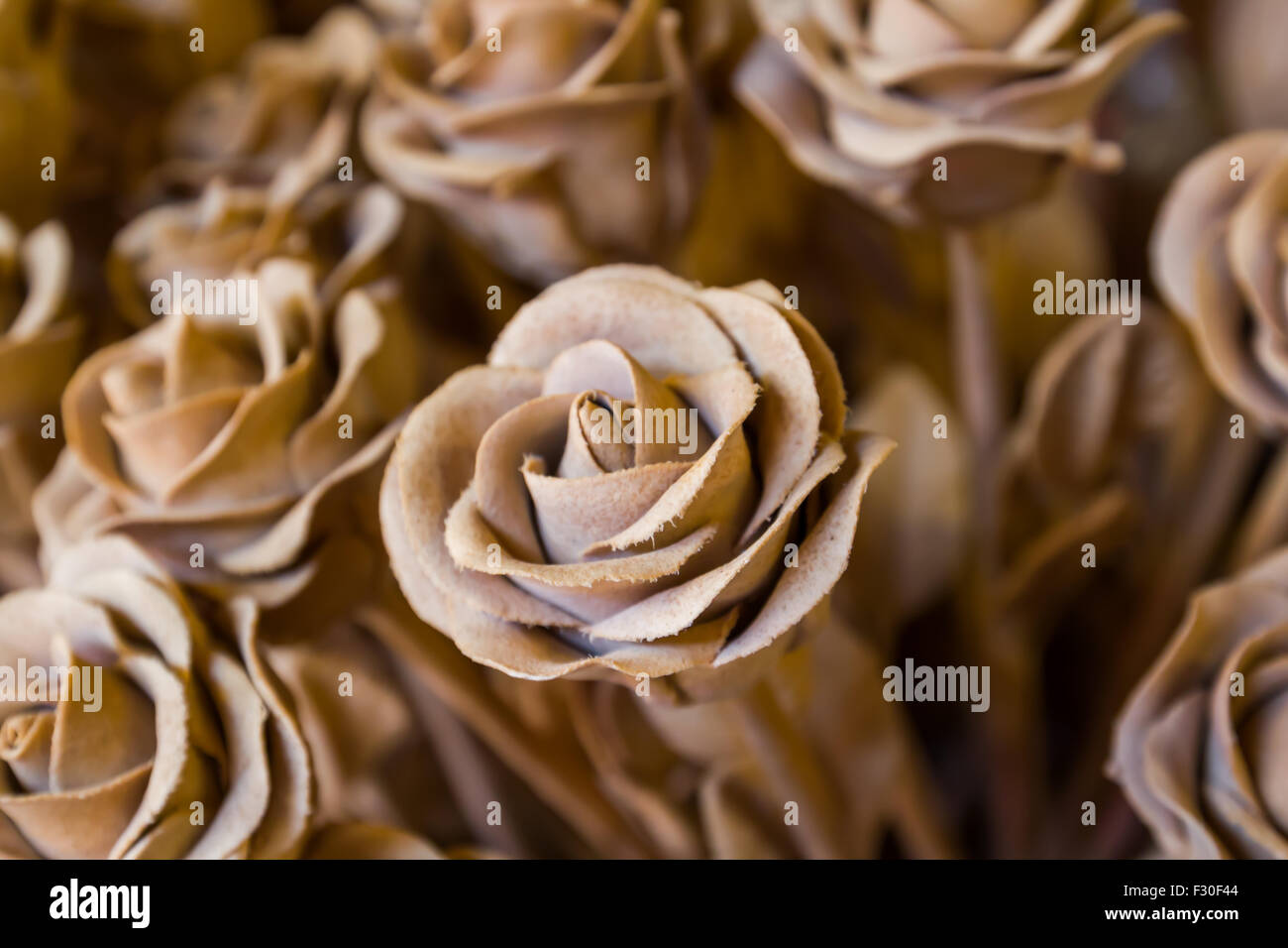 Rose make from brown paper Stock Photo - Alamy