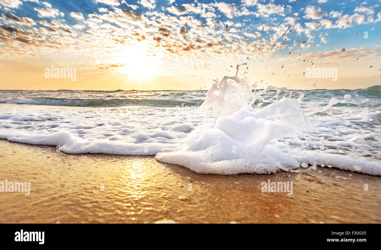 Beautiful sandy sea beach hi-res stock photography and images - Alamy