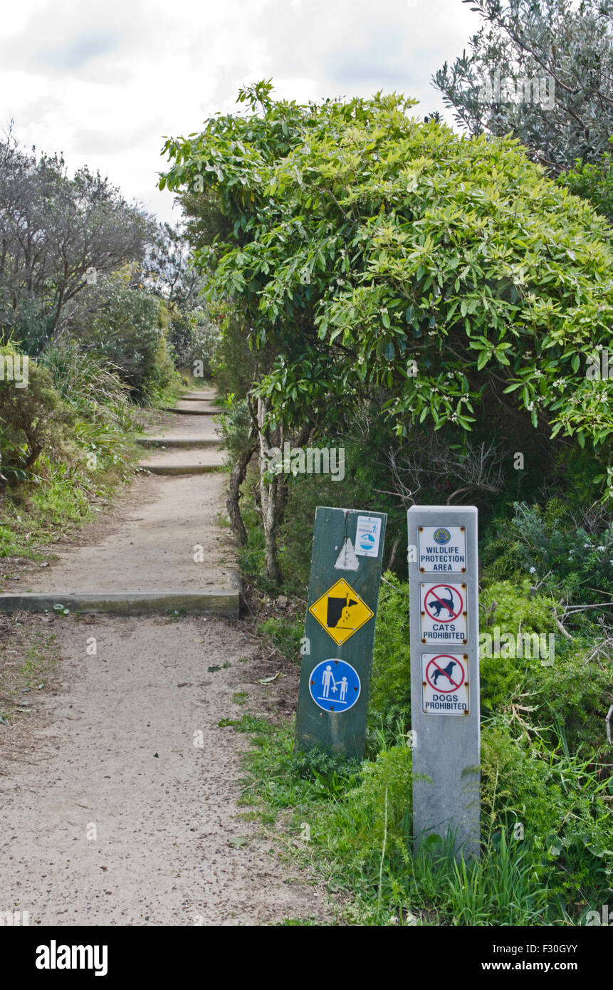Crumbling Cliff Edge Warning sign on pathway.North Narrabeen Headland ...