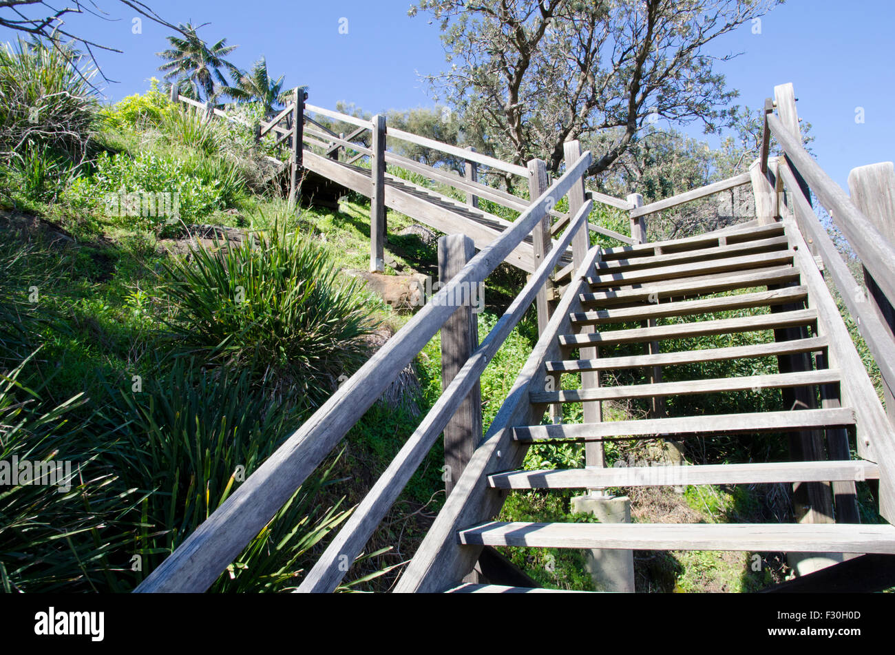 Timber steps hi-res stock photography and images - Alamy