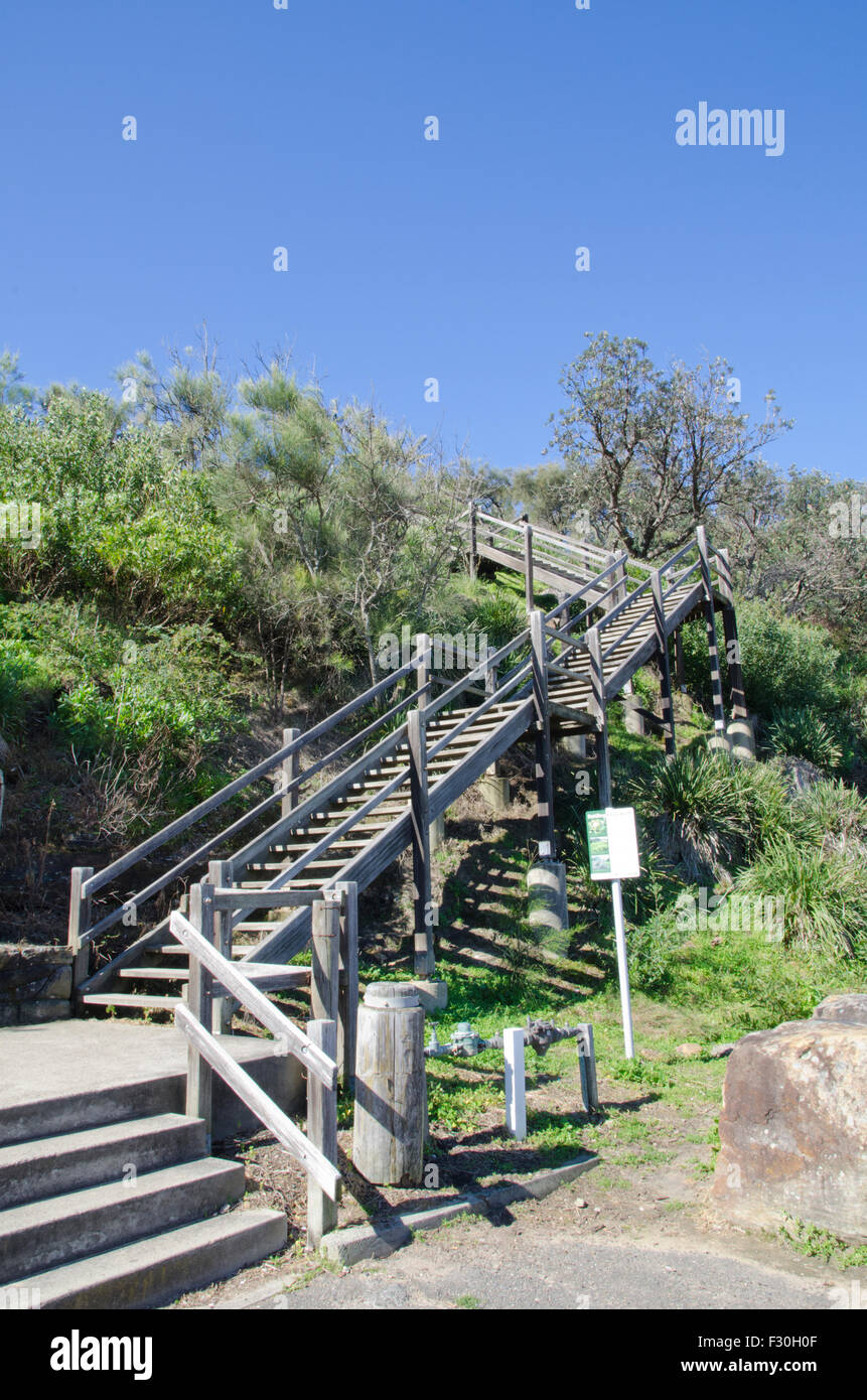 Timber steps hi-res stock photography and images - Alamy