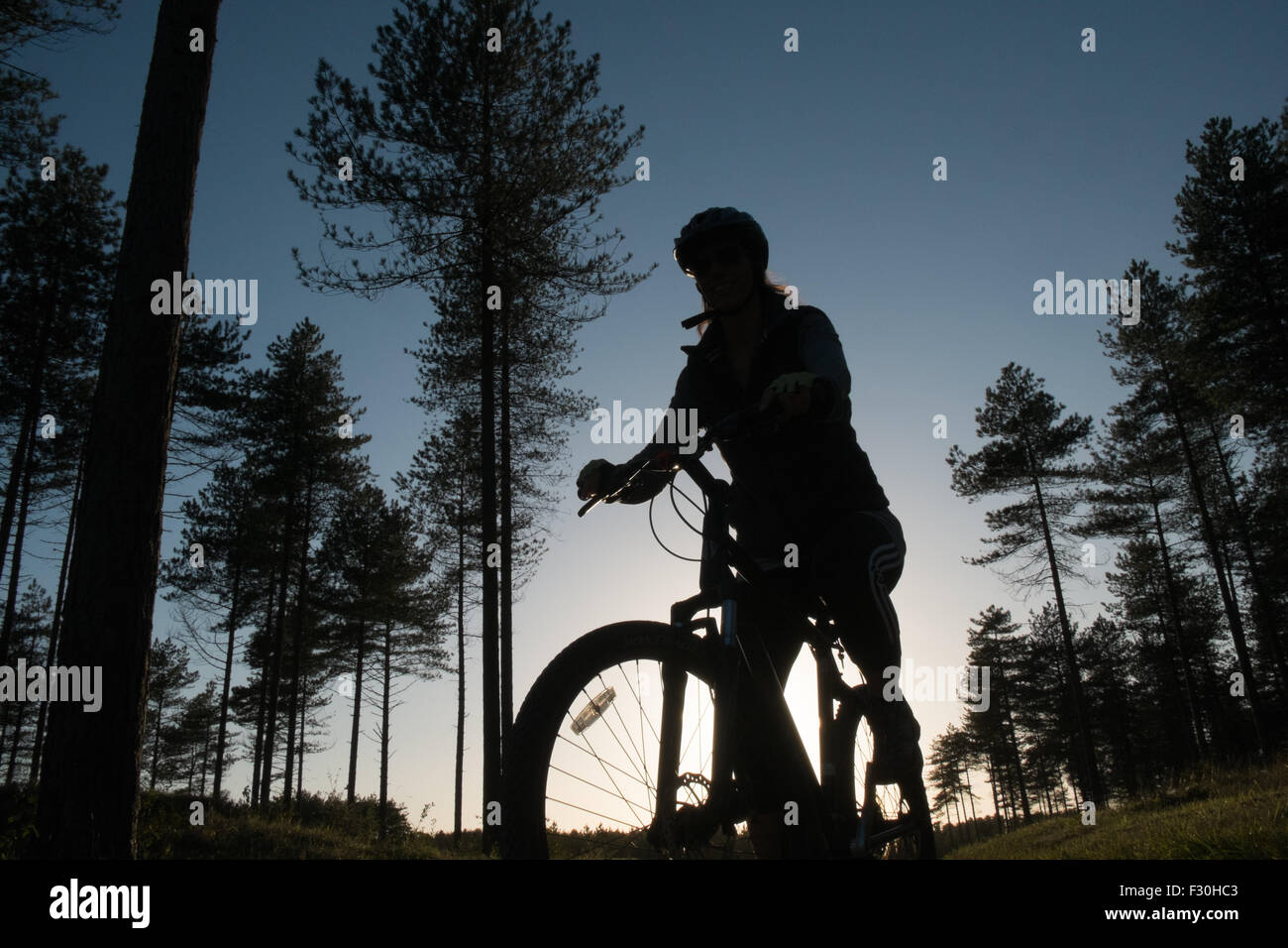At pembrey sands hi-res stock photography and images - Alamy