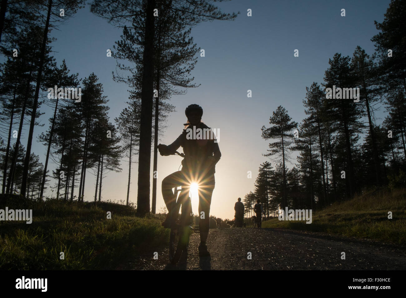 At pembrey sands hi-res stock photography and images - Alamy