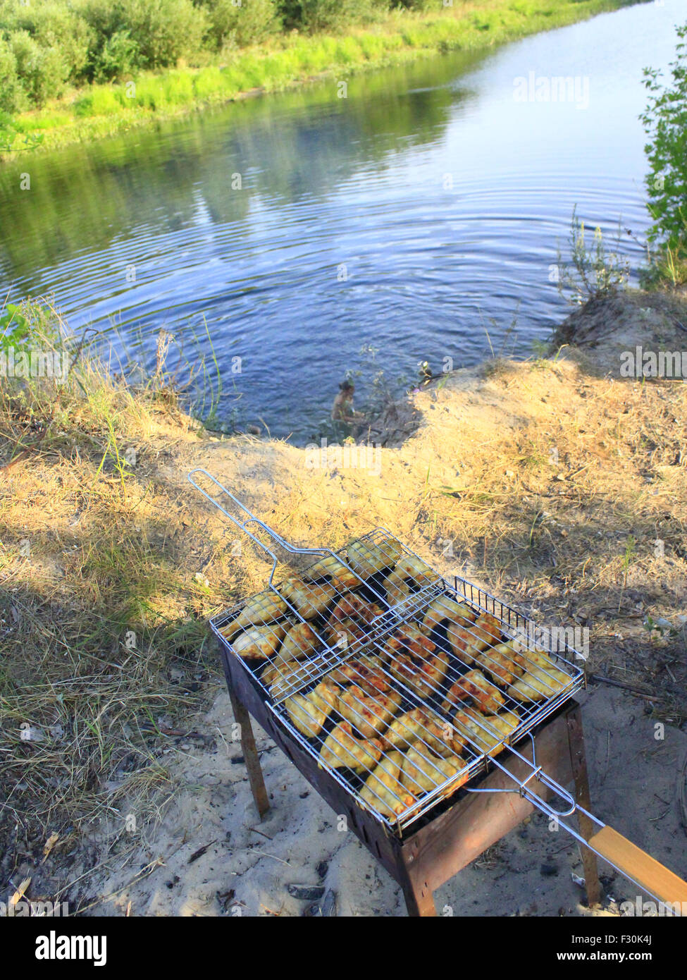 appetizing barbecue from hen's meat cooking in the nature Stock Photo ...