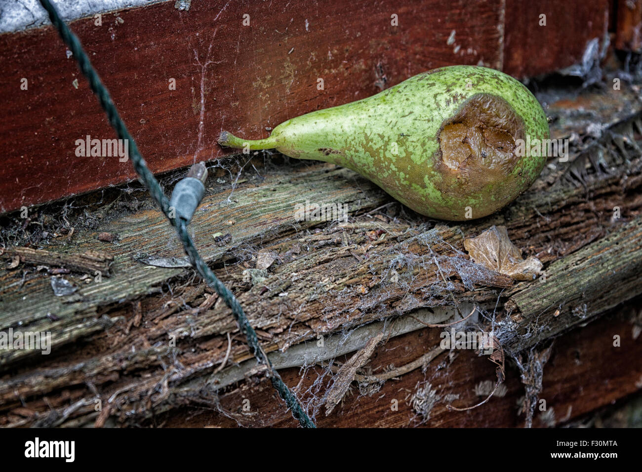 Rotten pear hi-res stock photography and images - Alamy